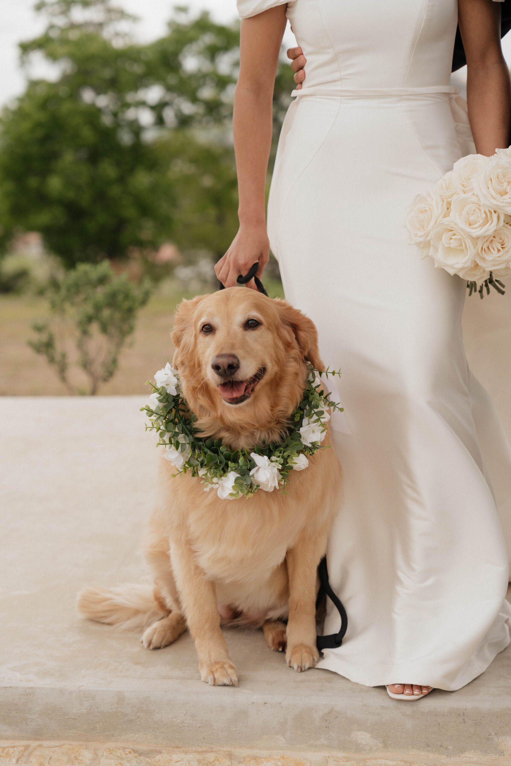 Tails of Love: Incorporating Pets into Your Wedding Day - juliadavisco.com